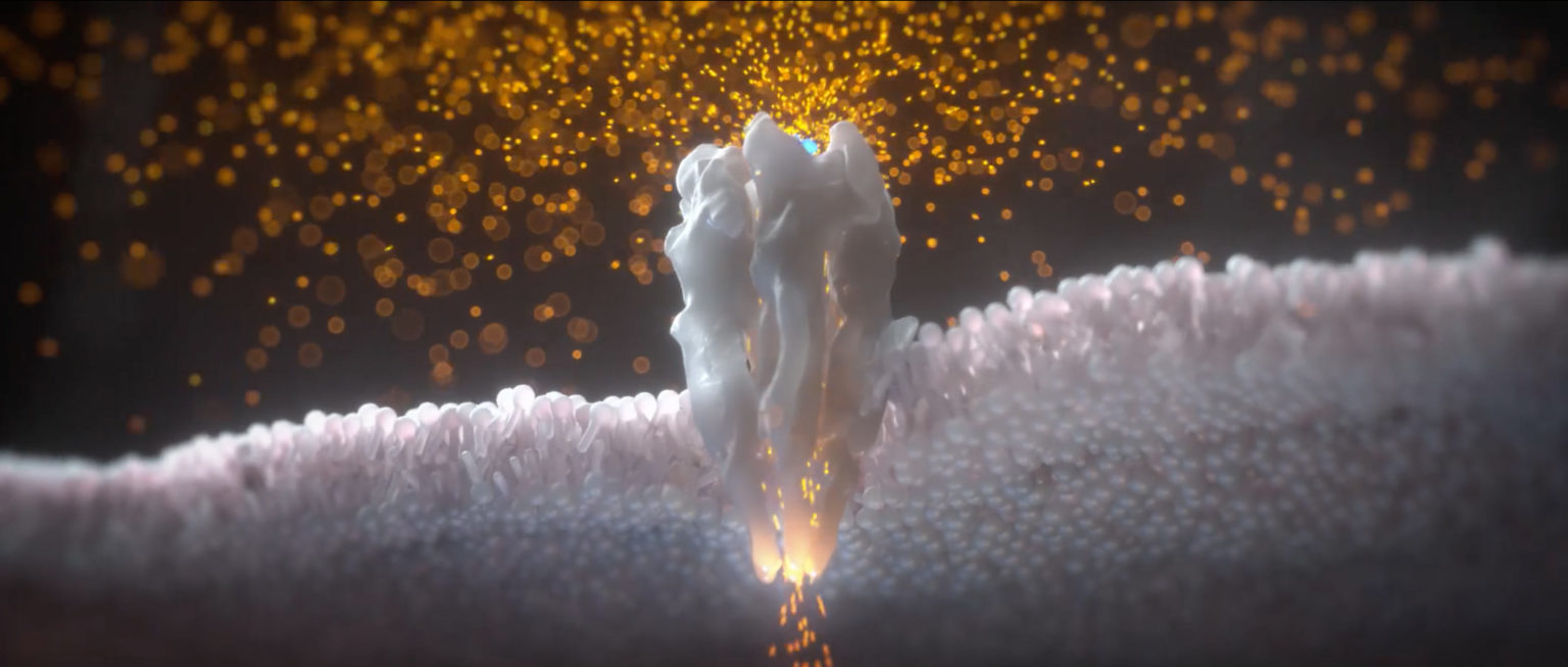 Medical Animation - Vessel Studios