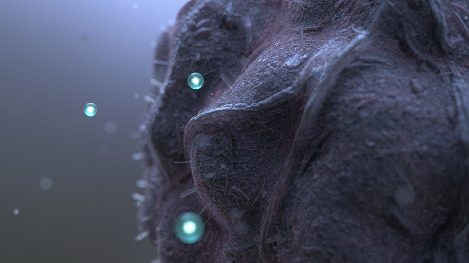 Medical Illustration - Vessel Studios